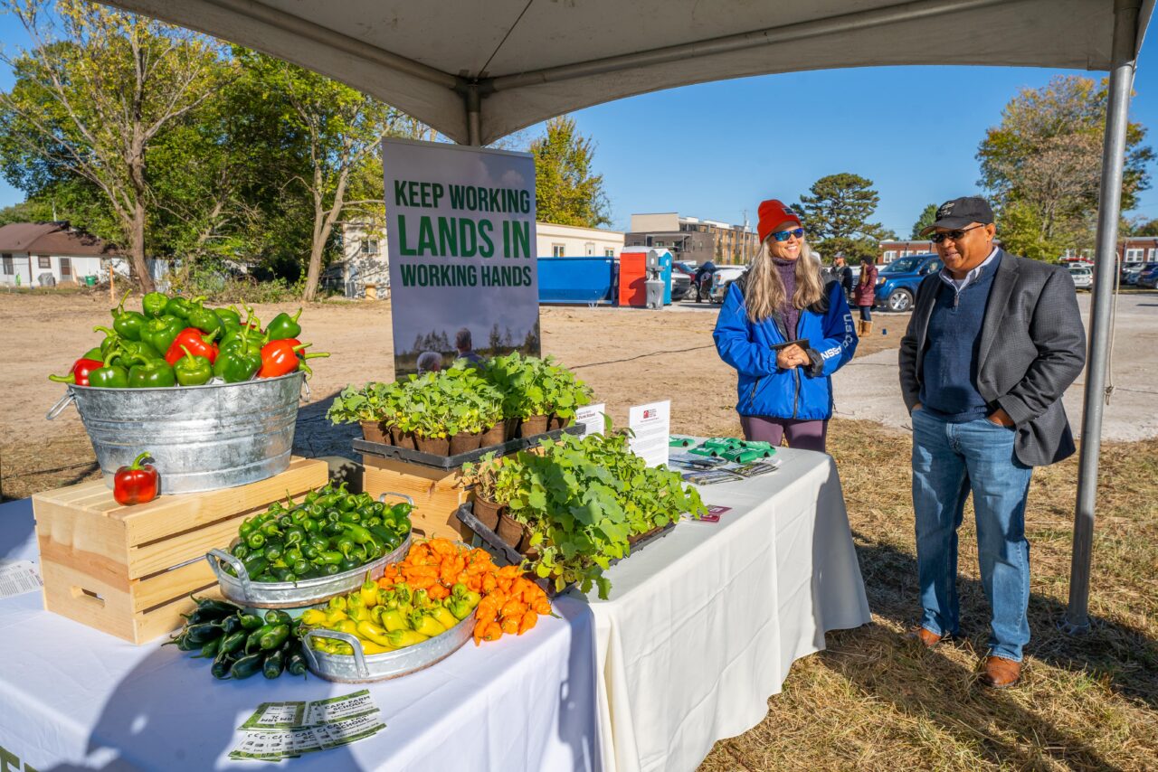 Explore Springdale | Home